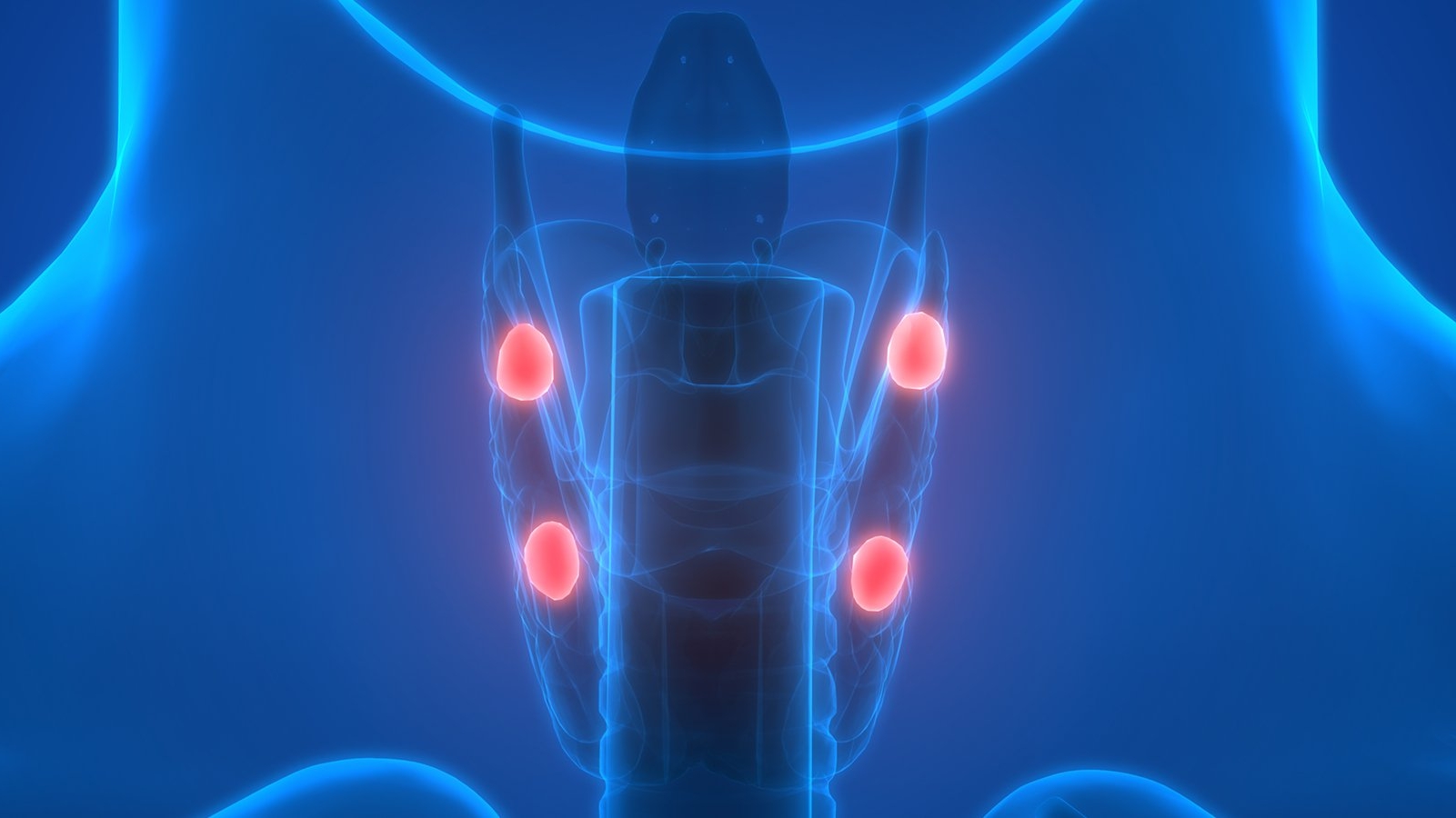 Μέλη - Τμήματα - ENDO