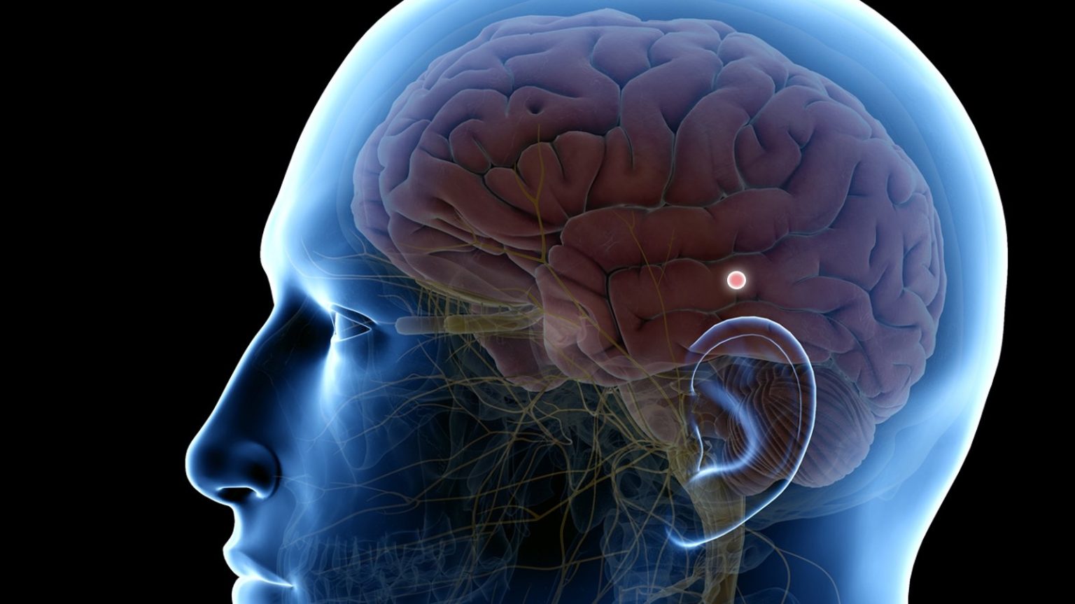 Μέλη - Τμήματα - ENDO